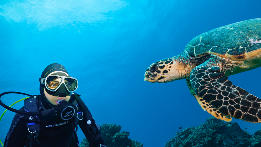 EAB-VR-16: Prescription VR Eyeglasses in Satin Dark Navy – Frame of choice