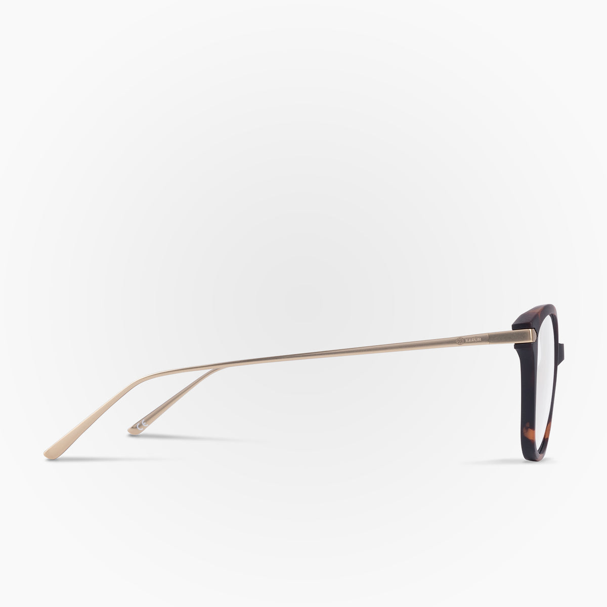 Puma Eyeglasses – Frame of choice